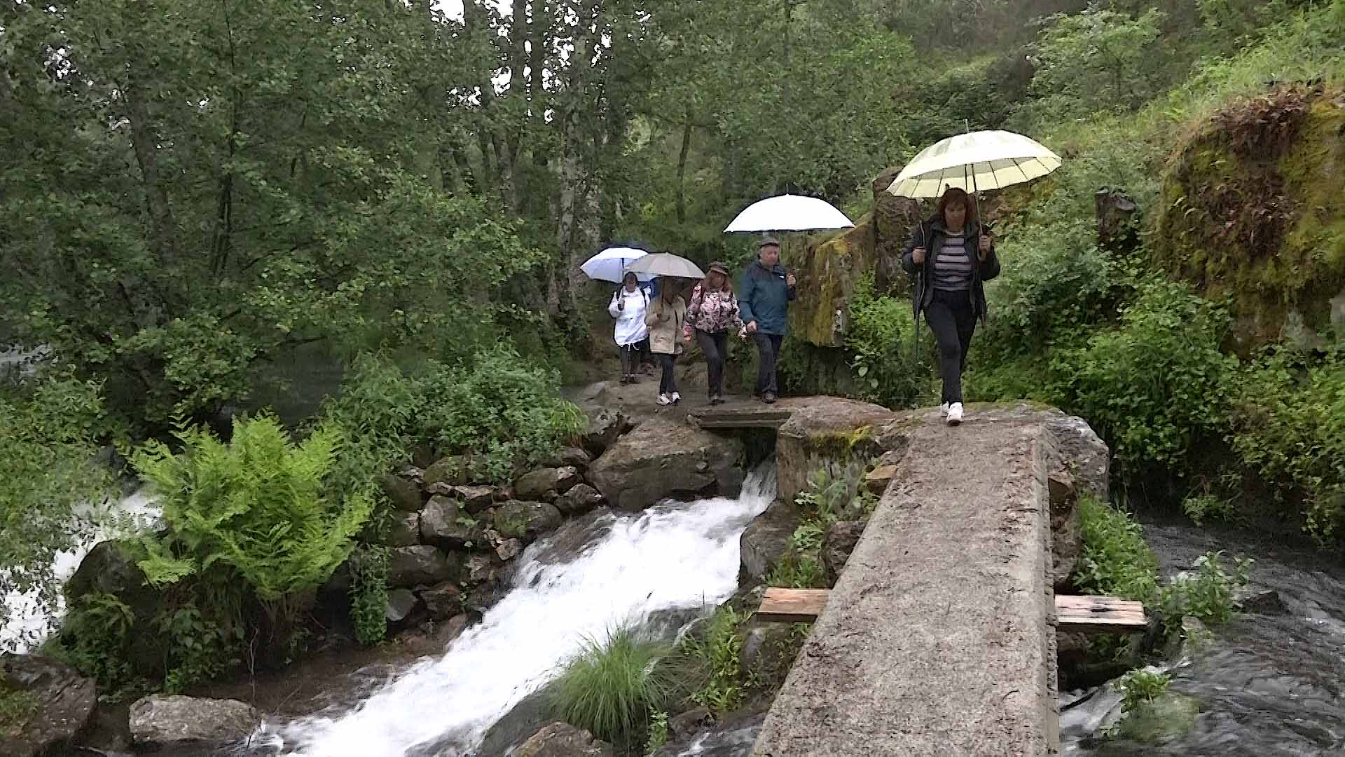 Caminhada ”Trilho entre Dão e Ludares” em Germil | Portal de ...